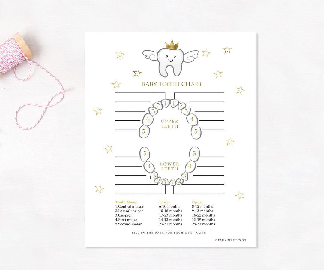 BABY Tooth Chart 5 X 7 - Gold Baby Tooth Chart - Baby Keepsake - Baby ...