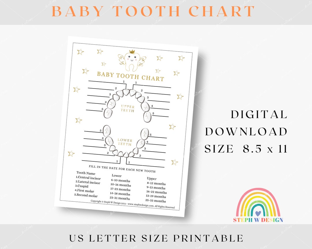 Printable Baby Tooth Chart, Gold Tooth Fairy Chart, Baby Keepsake, Baby ...