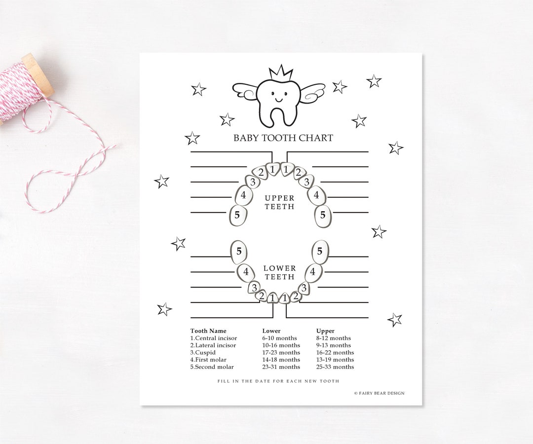 Baby Tooth Chart 8 X 10, Baby Shower Gift, Tooth Fairy Pillow, Baby ...