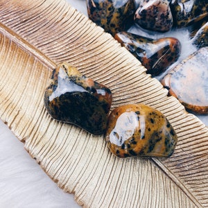 Cheetah Agate Tumbled Stone Rare Brazil Agate Yellow Crystal Healing Gridwork Tumble Stones ...