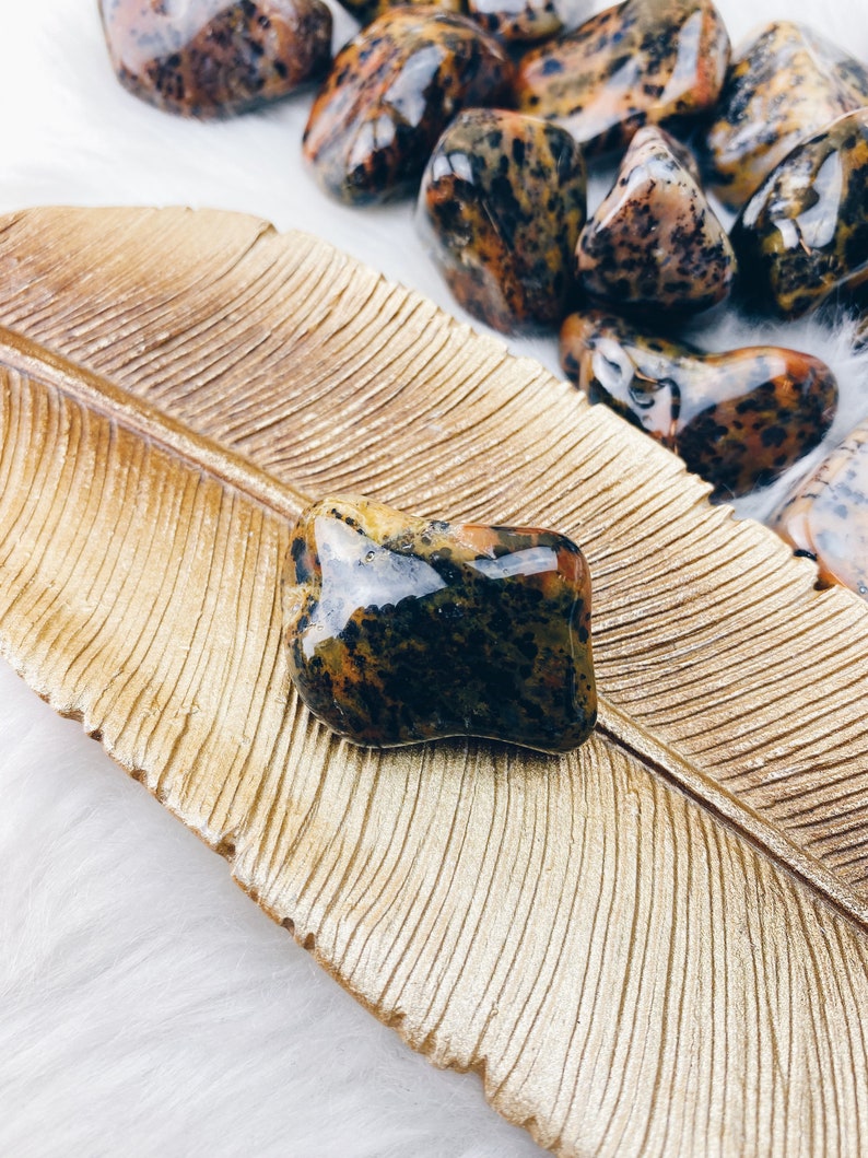 Cheetah Agate Tumbled Stone Rare Brazil Agate Yellow Crystal - Etsy