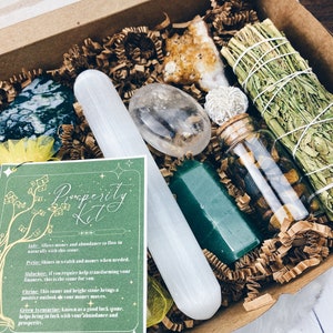 Money Crystal Gift Set Crystal for Prosperity Abundance Gift Crystal ...