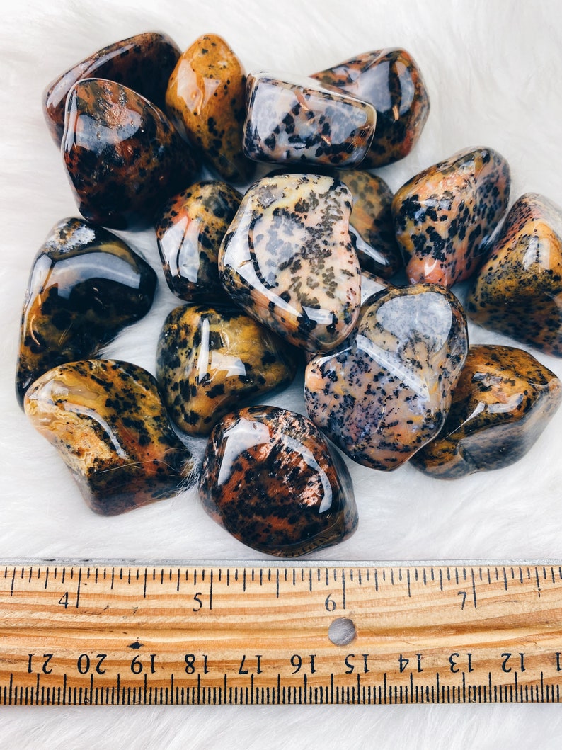 Cheetah Agate Tumbled Stone Rare Brazil Agate Yellow Crystal - Etsy