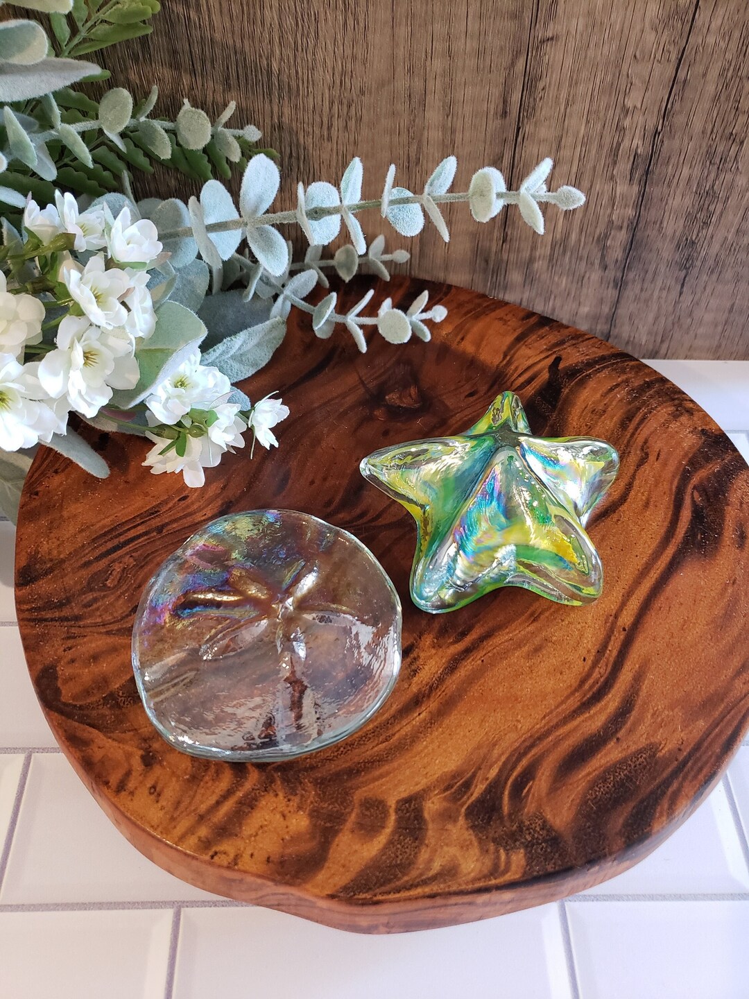 Vintage Iridized Glass Oceanic Sand Dollar Paperweight Coastal Decor ...