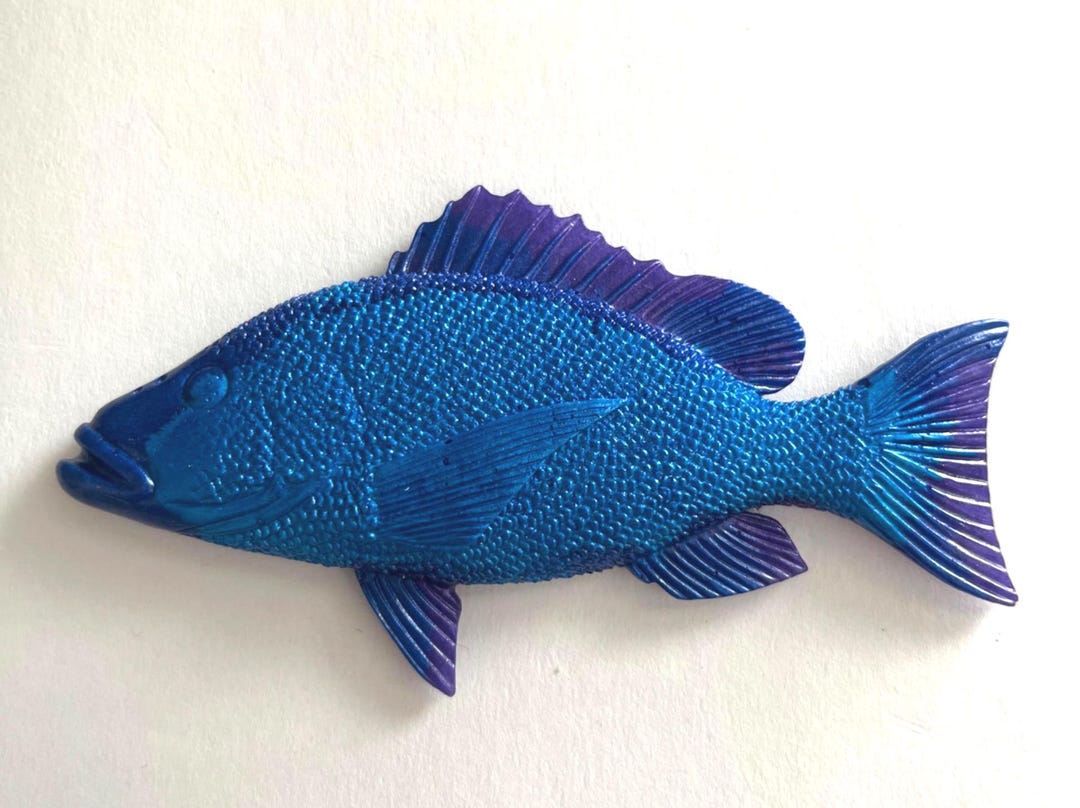 Sparkly Snapper Fish Magnet, Whimsical Fridge Decor - Etsy