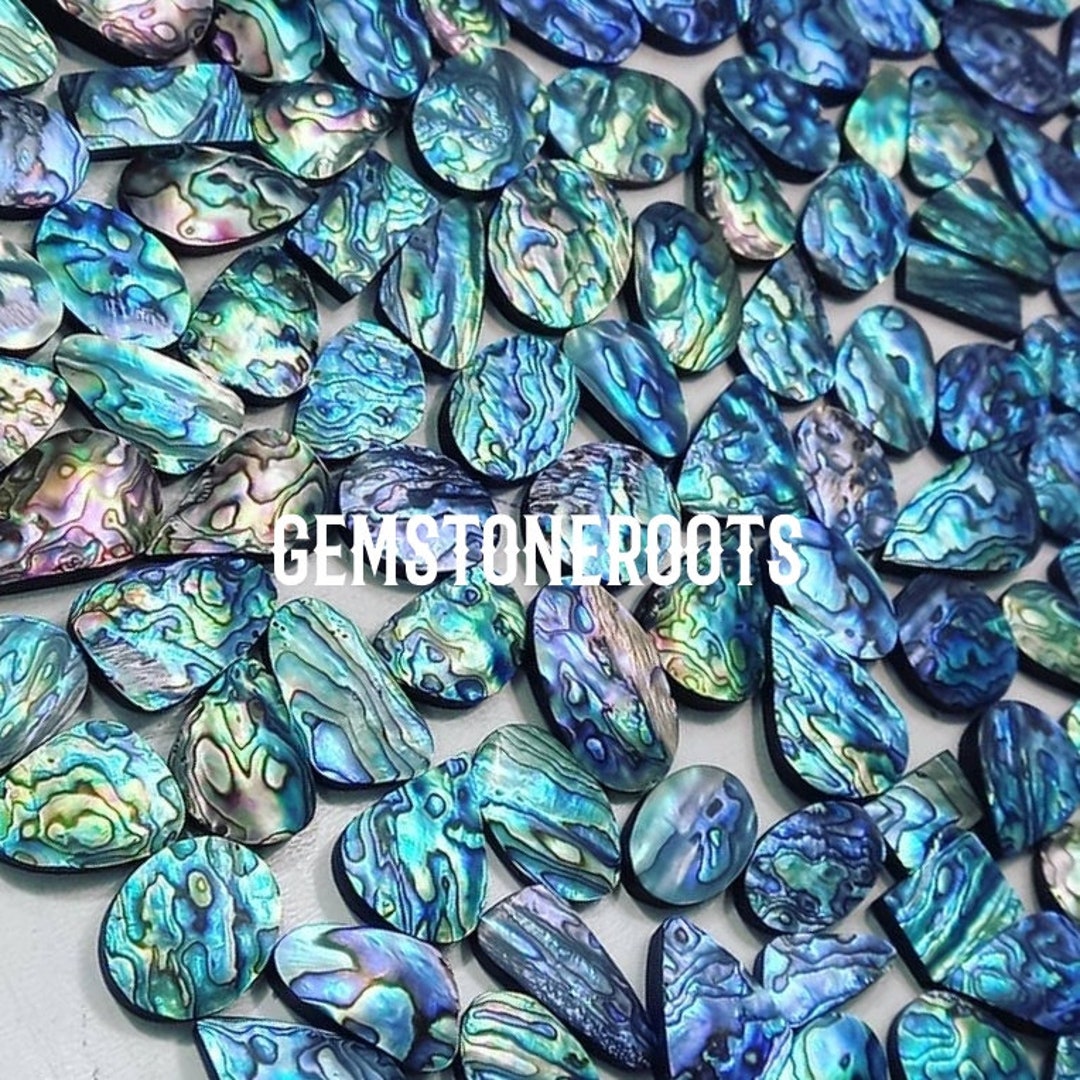 Natural Abalone Shell Piece Wholesale Lot, Abalone Shell for Jewelry ...