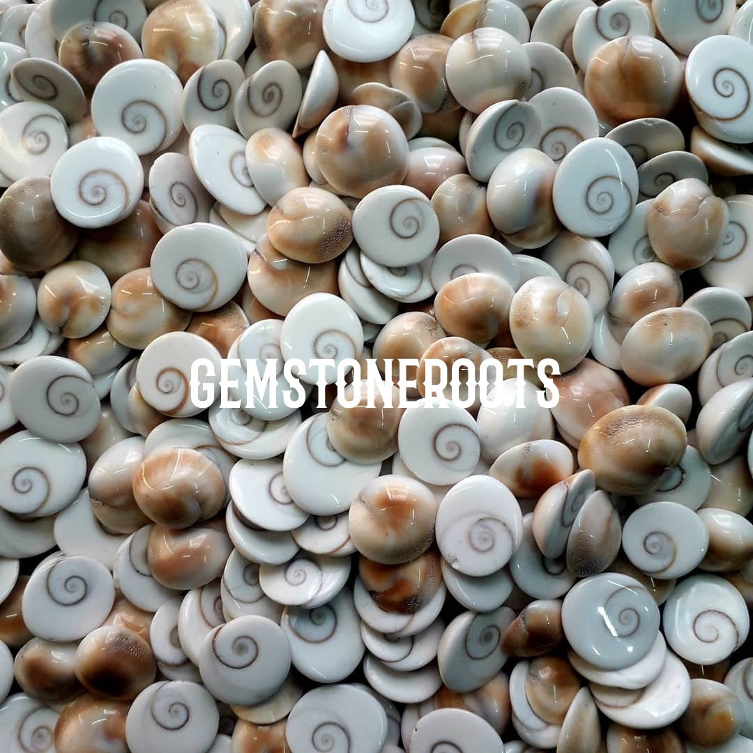 Natural Shiva Eye Shell Gemstone Cabochon - Shiva Eye Lot - AAA Shiva ...
