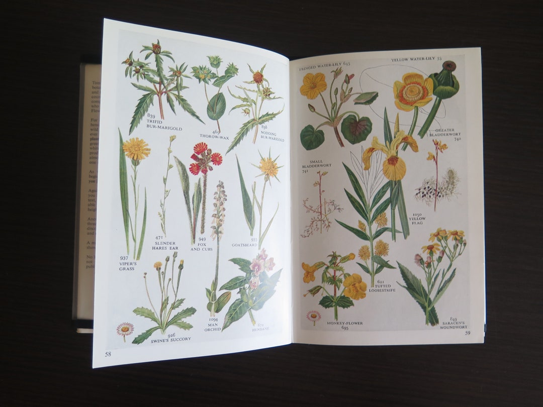The Collins Pocket Guide to Wild Flowers 1958 Book by D. Mcclintock, R ...