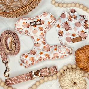 Pumpkin Patch Boho Dog Harness, Cute Fall Dog Accessory, Girl Dog ...