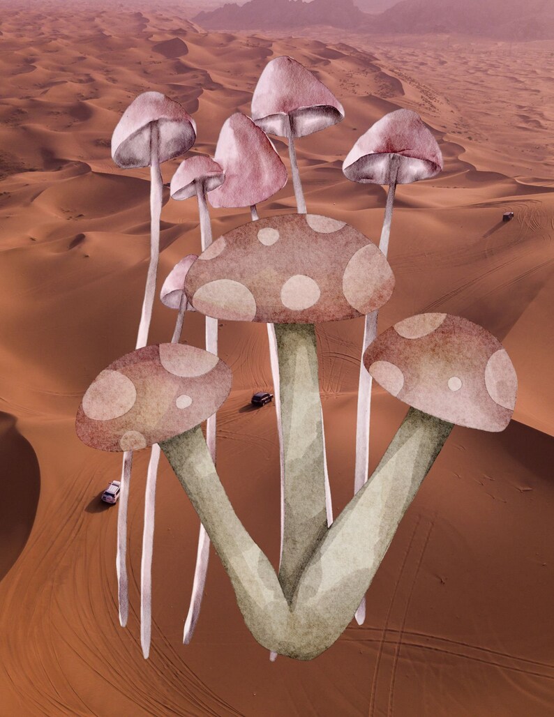 Arte mural imprimible. Descargas digitales de setas mágicas. Decoración ...