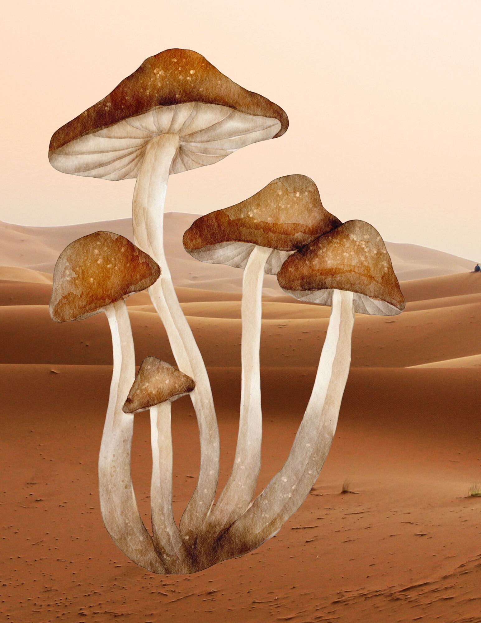 Arte mural imprimible. Descargas digitales de setas mágicas. Decoración ...