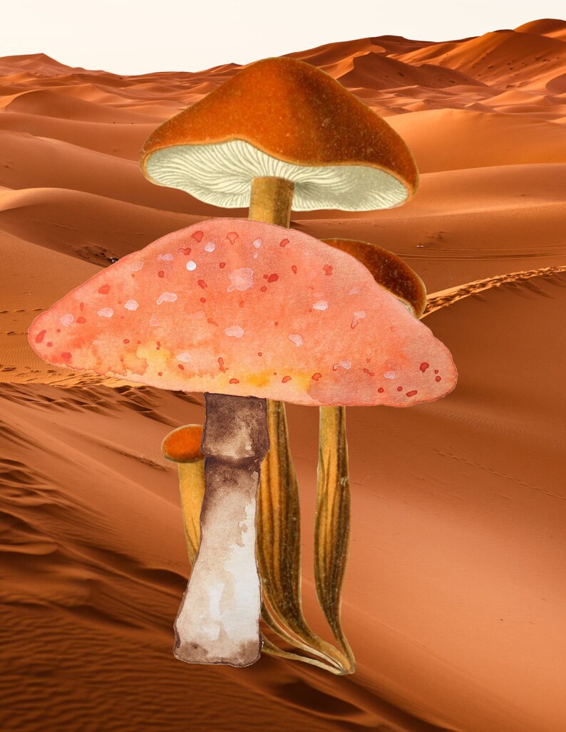 Arte mural imprimible. Descargas digitales de setas mágicas. Decoración ...