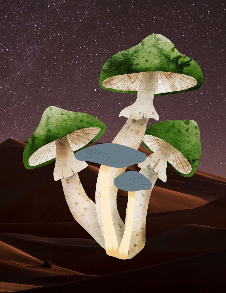 Arte mural imprimible. Descargas digitales de setas mágicas. - Etsy México