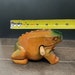 Guiro Rasp Hand Carved Frog Percussion Instrument - Etsy