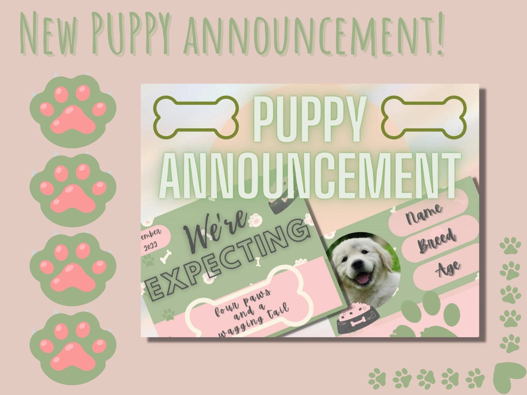 New Puppy Announcement & Monthly Milestone | Welcome Puppy | Dog ...
