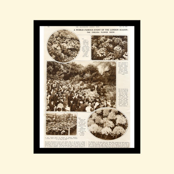 Chelsea Flower Show Poster - Etsy