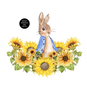 Peter Rabbit Blue Sunflower Garden PNG, Blue Jacket Peter Rabbit ...