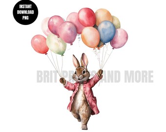 Peter Rabbit Birthday Celebration PNG - Etsy UK