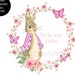 Flopsy Bunny Gold Wreath PNG, Pink Flopsy Rabbit Clip Art, Wreath ...
