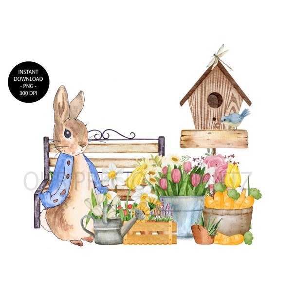 Peter Rabbit Drawing - Etsy