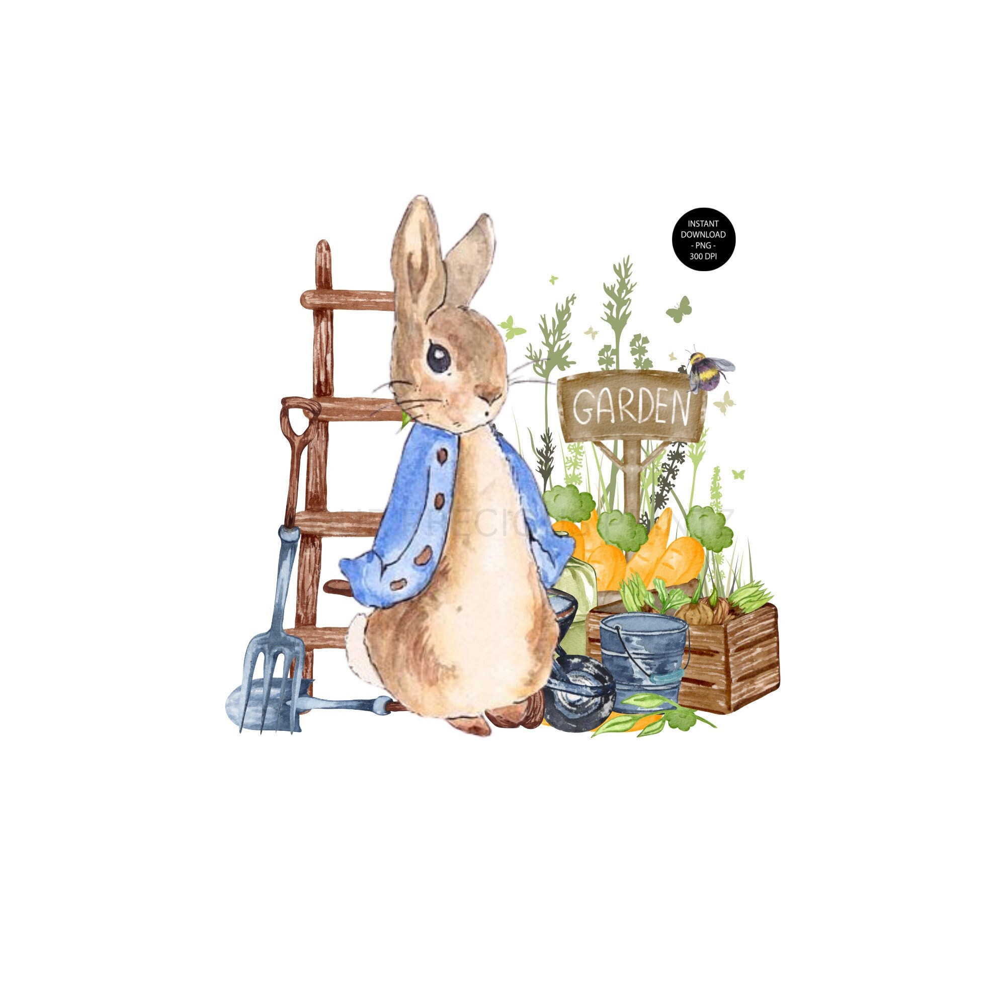 Peter Rabbit Blue Carrots Garden PNG, Blue Jacket Peter Rabbit Flowers ...