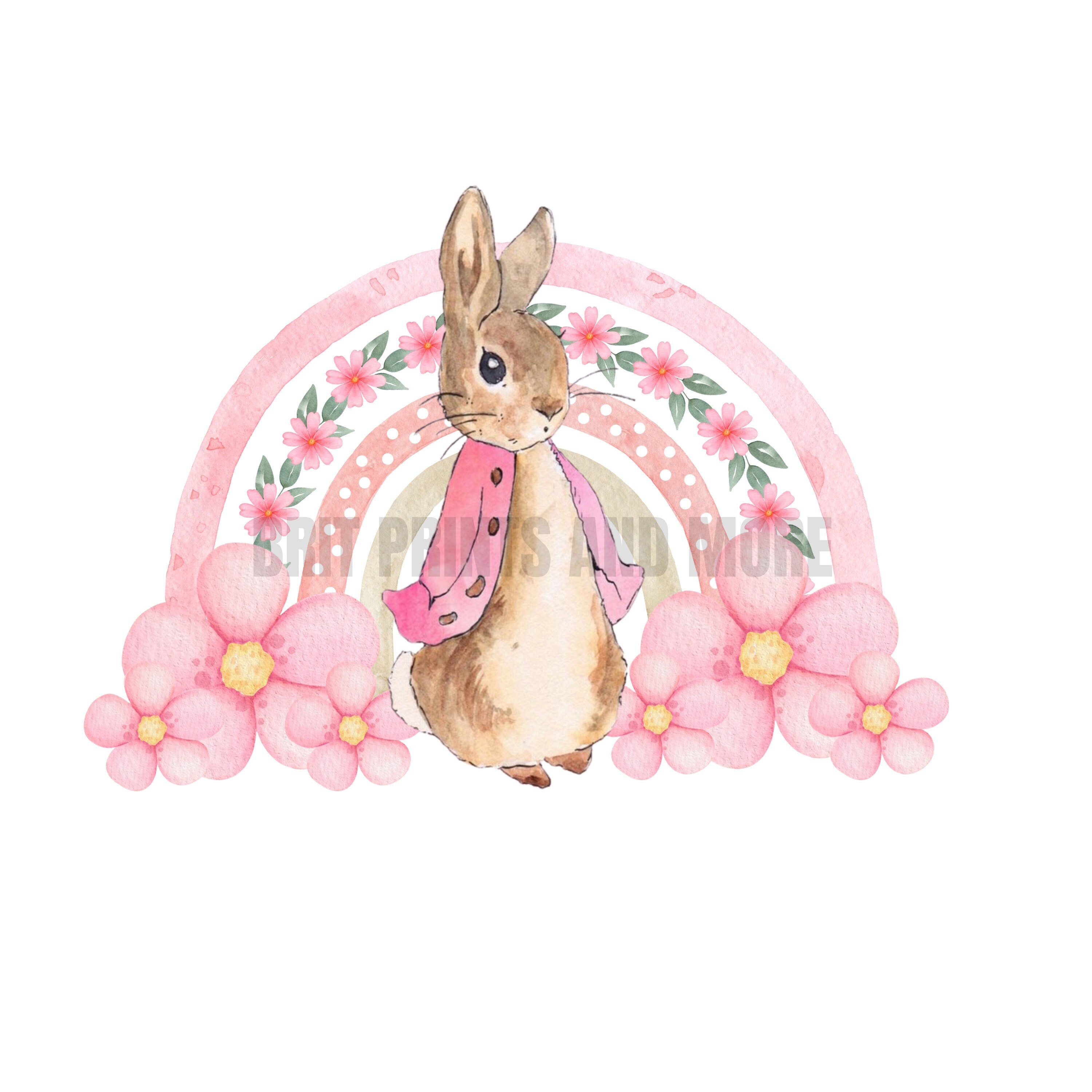 Flopsy Bunny Pink Rainbow PNG, Pink Flopsy Rabbit Clip Art, Wreath ...