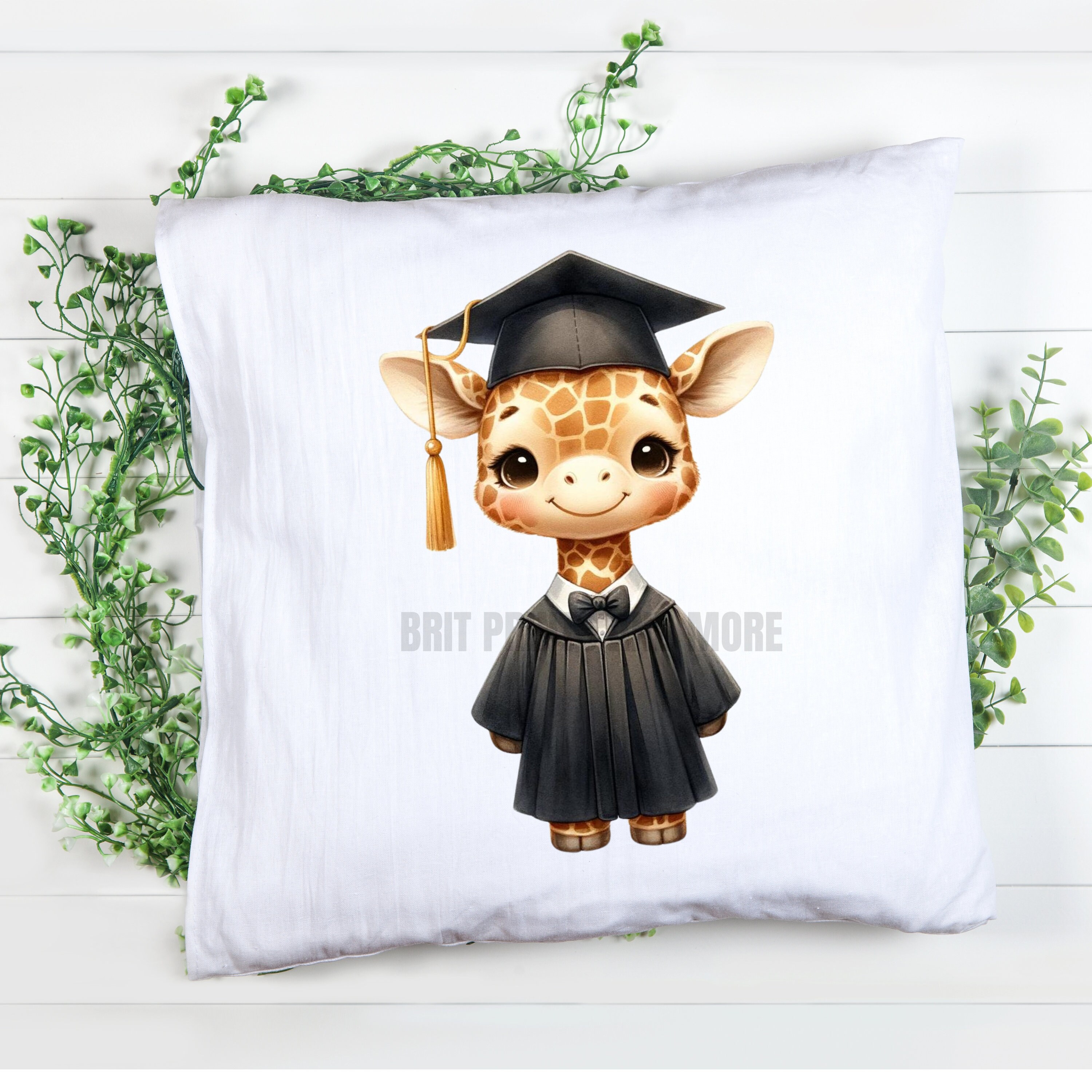 11 Individual Graduation Animals PNG, Teddy Graduation Clip Art, Owl ...