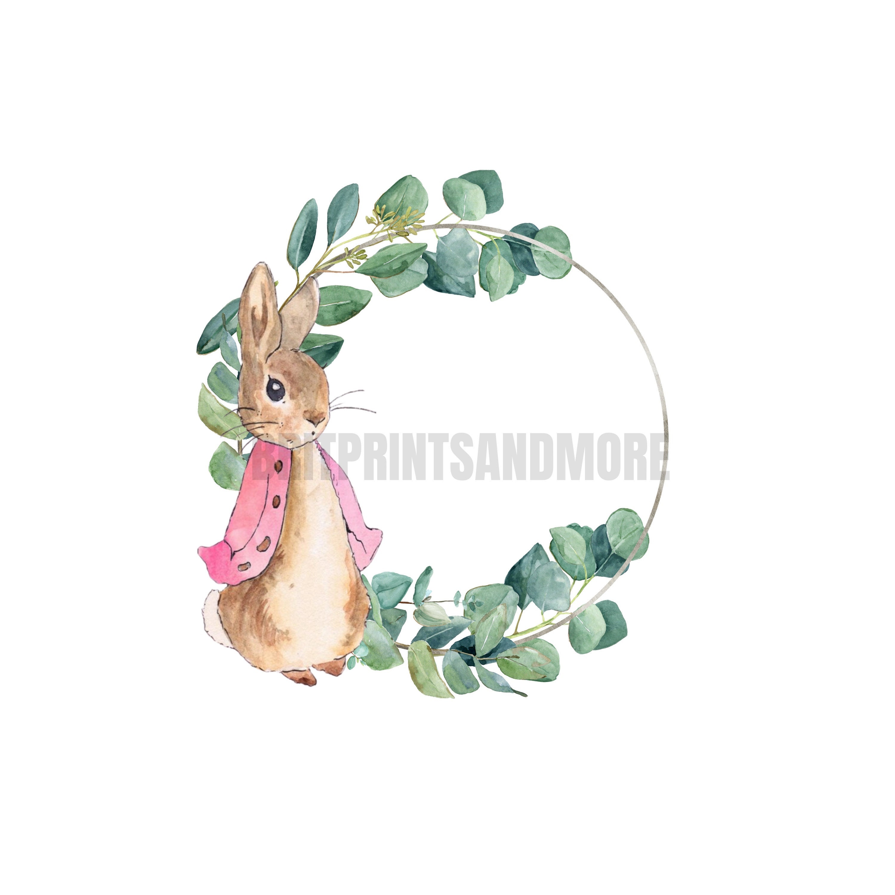 Flopsy Bunny Pink Wreath Foliage PNG, Pink Flopsy Rabbit Clip Art ...
