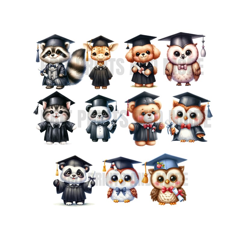 11 Individual Graduation Animals PNG, Teddy Graduation Clip Art, Owl ...