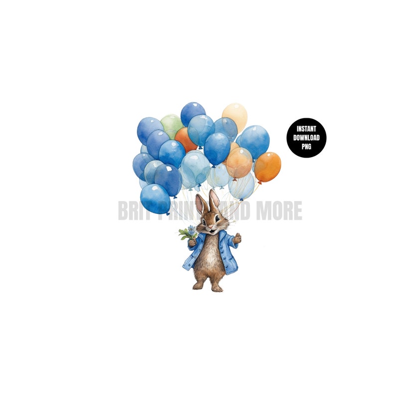 Peter Rabbit Birthday Balloons PNG Blue Jacket Peter Rabbit - Etsy