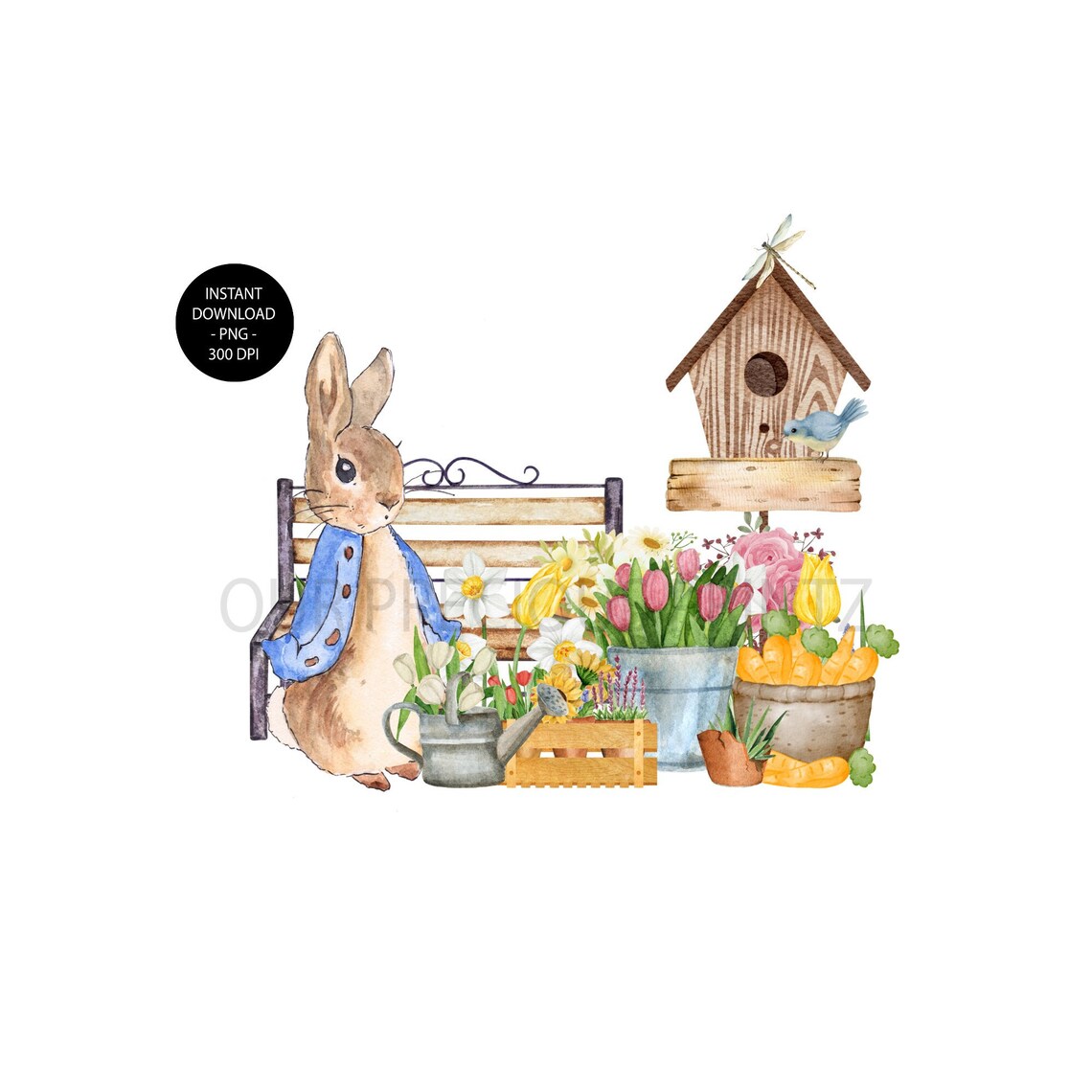 Peter Rabbit Blue Spring Garden PNG, Blue Jacket Peter Rabbit Carrots ...