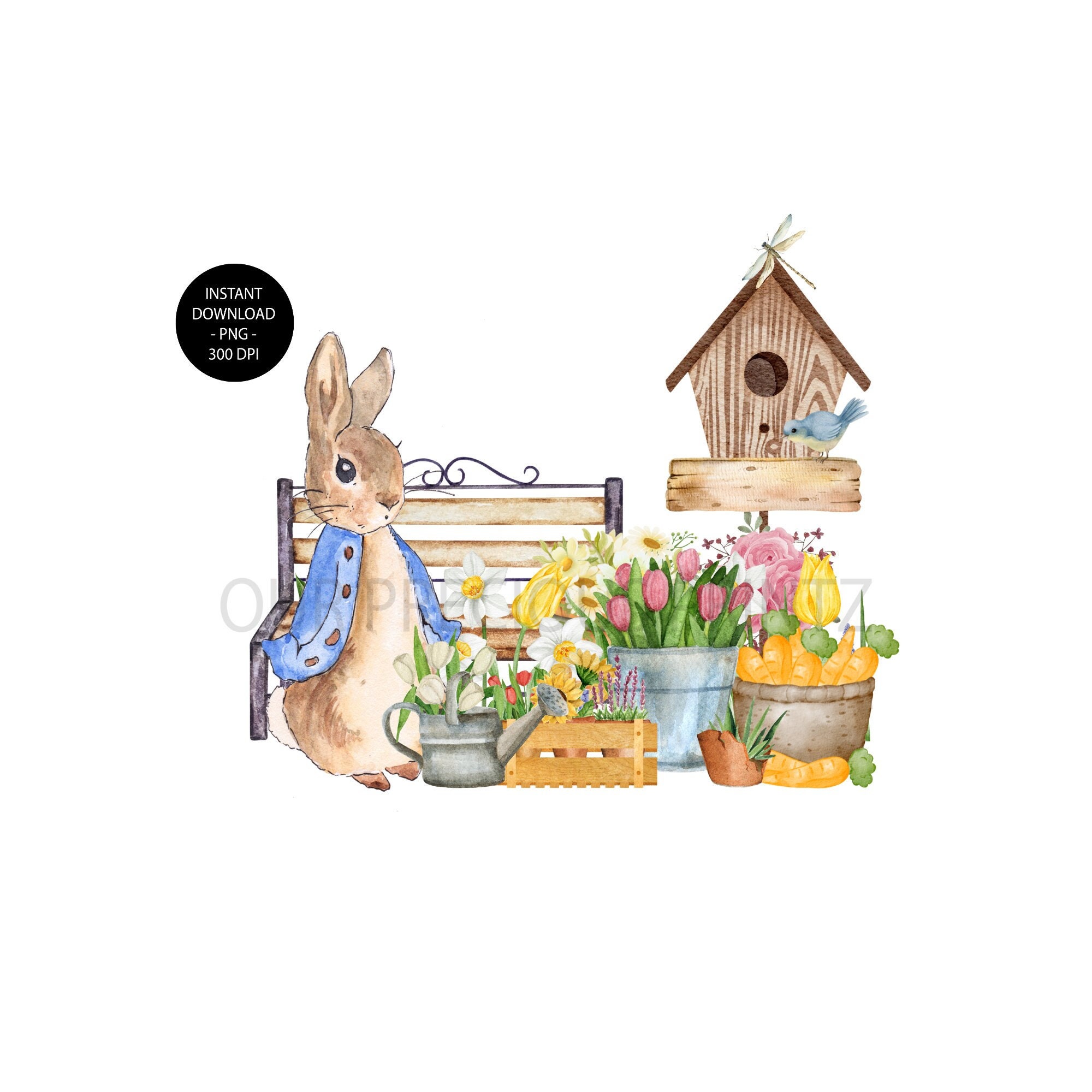 Peter Rabbit Blue Spring Garden PNG, Blue Jacket Peter Rabbit Carrots ...
