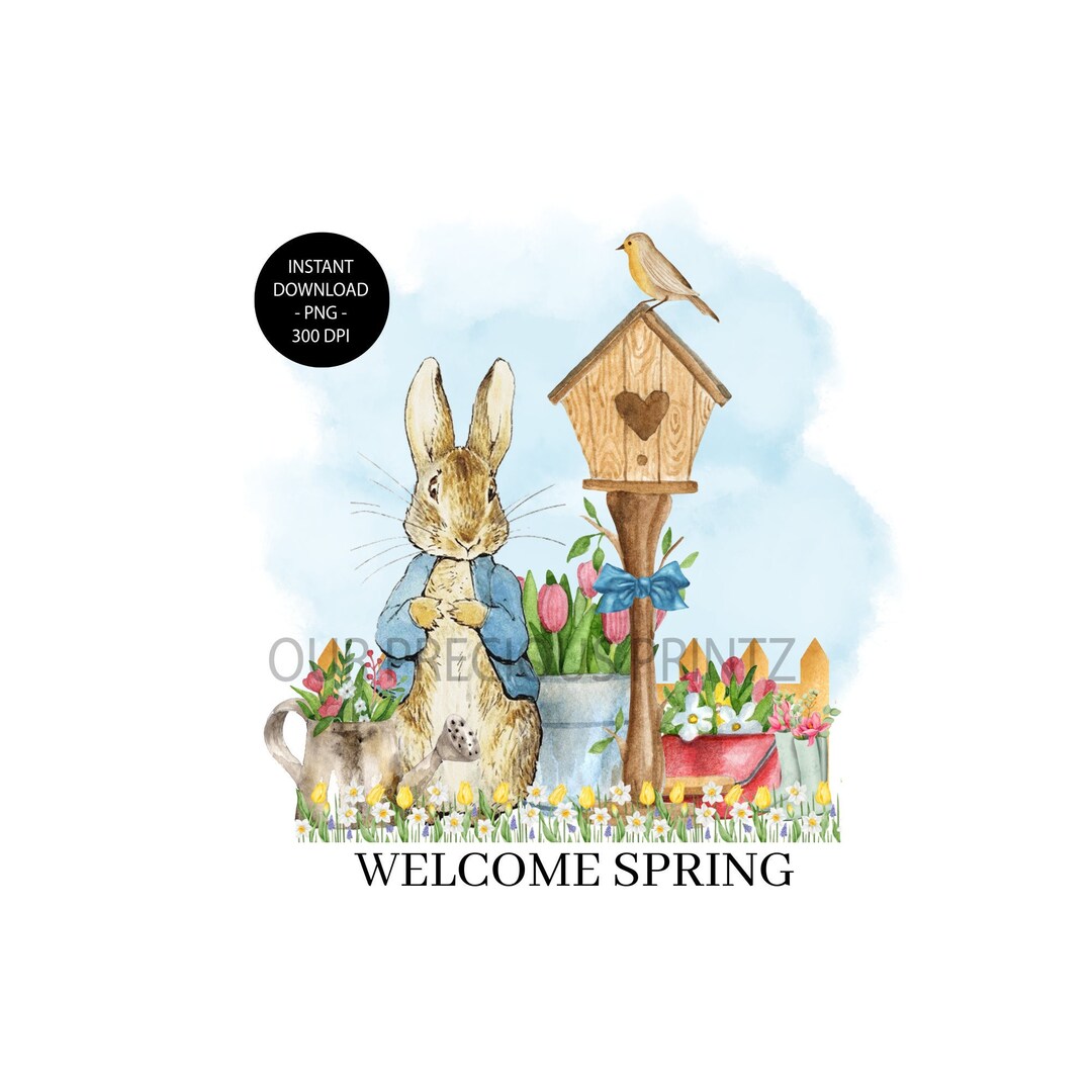 Spring Peter Rabbit Bunny Watercolor PNG, Cute Peter Rabbit Spring ...