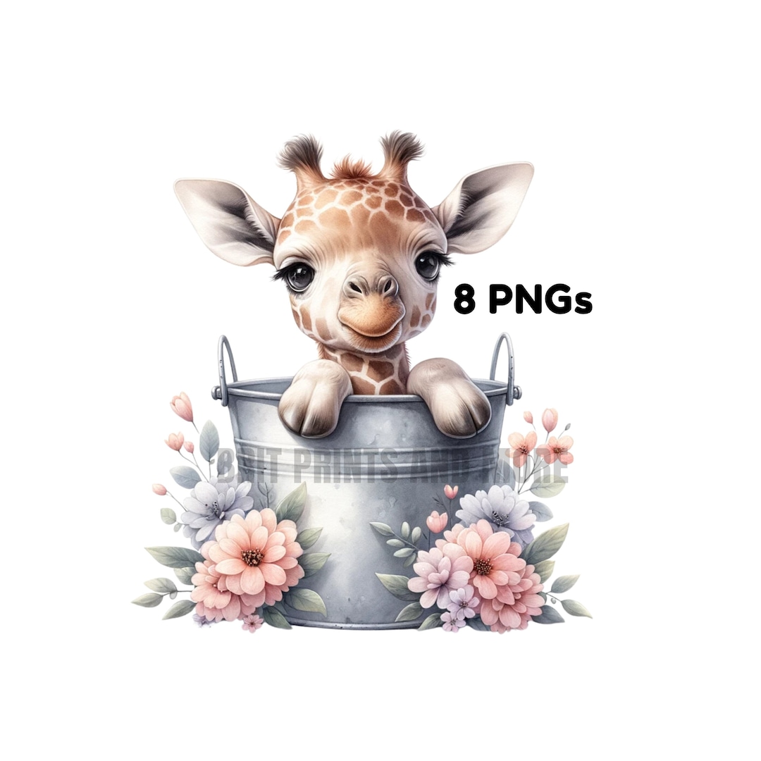 Cute Bucket Animals, 8 Individual PNG, Cat, Dog, Duck, Giraffe Clip Art ...