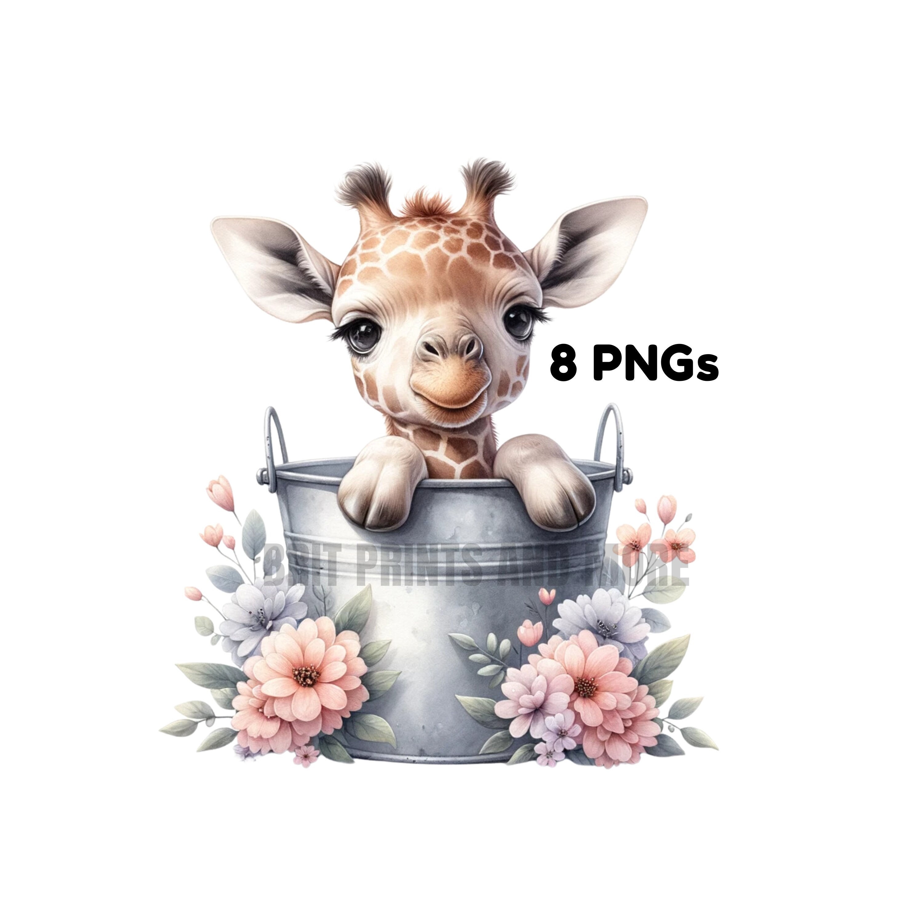 Cute Bucket Animals, 8 Individual PNG, Cat, Dog, Duck, Giraffe Clip Art ...