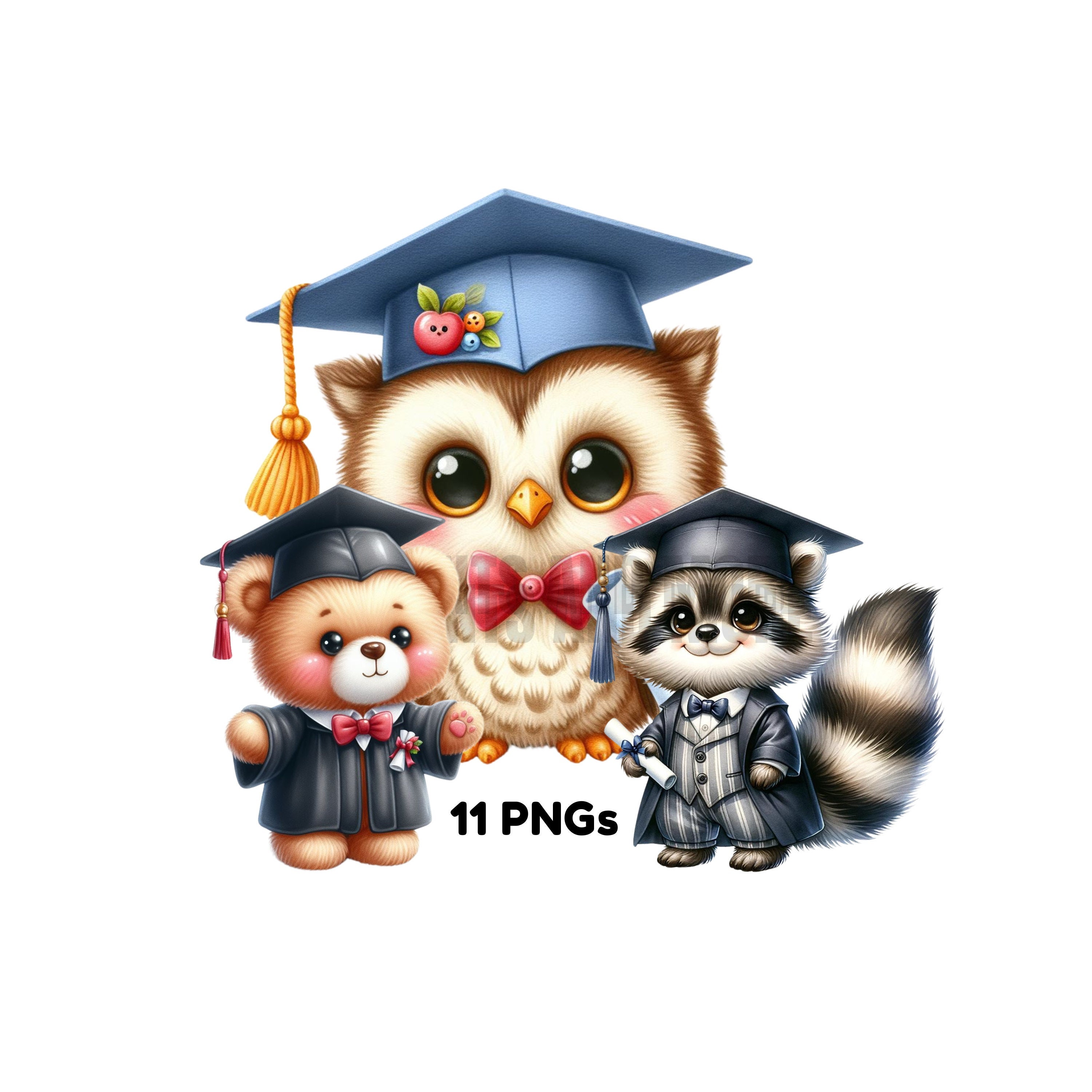 11 Individual Graduation Animals PNG, Teddy Graduation Clip Art, Owl ...