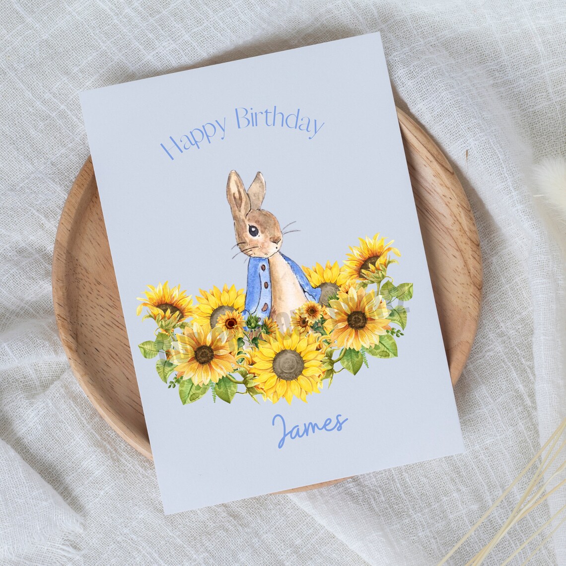 Peter Rabbit Blue Sunflower Garden PNG, Blue Jacket Peter Rabbit ...