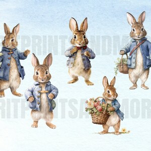 Peter Rabbit Collection, 20 Individual PNG, Beatrix Potter Style Clip ...
