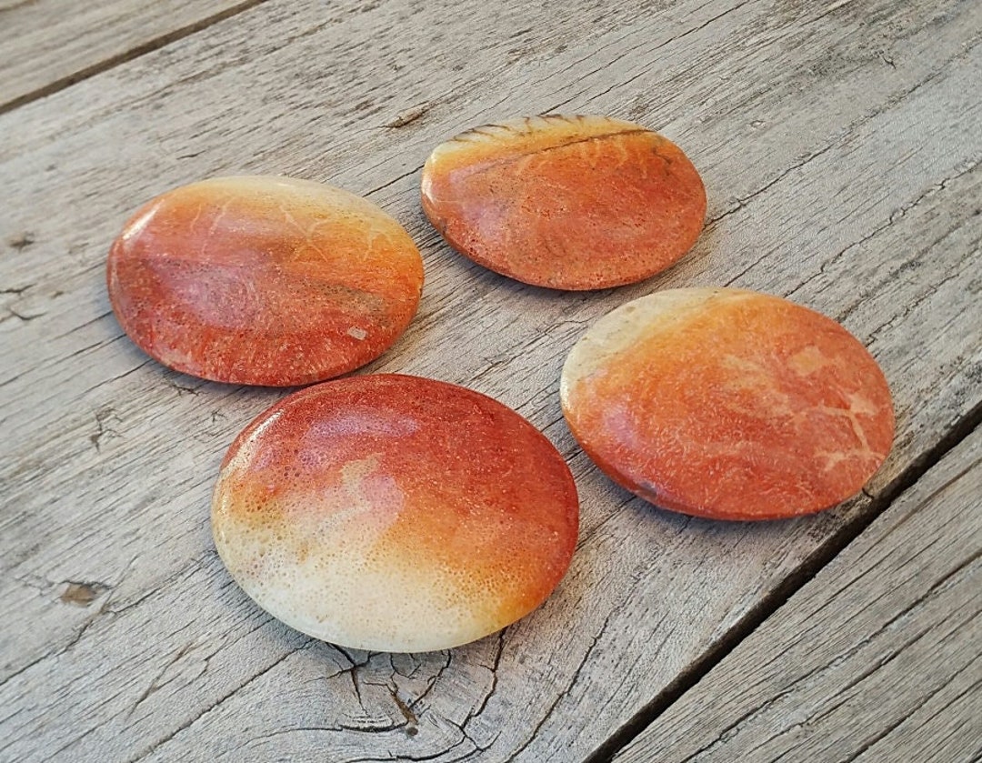 Orange Red Sponge Coral Large Round Flat Disk Shaped Gemstone Focal ...