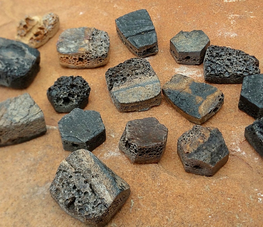 Rare Genuine Fossil Turtle Shell Beads by Gary Wilson Actual ...