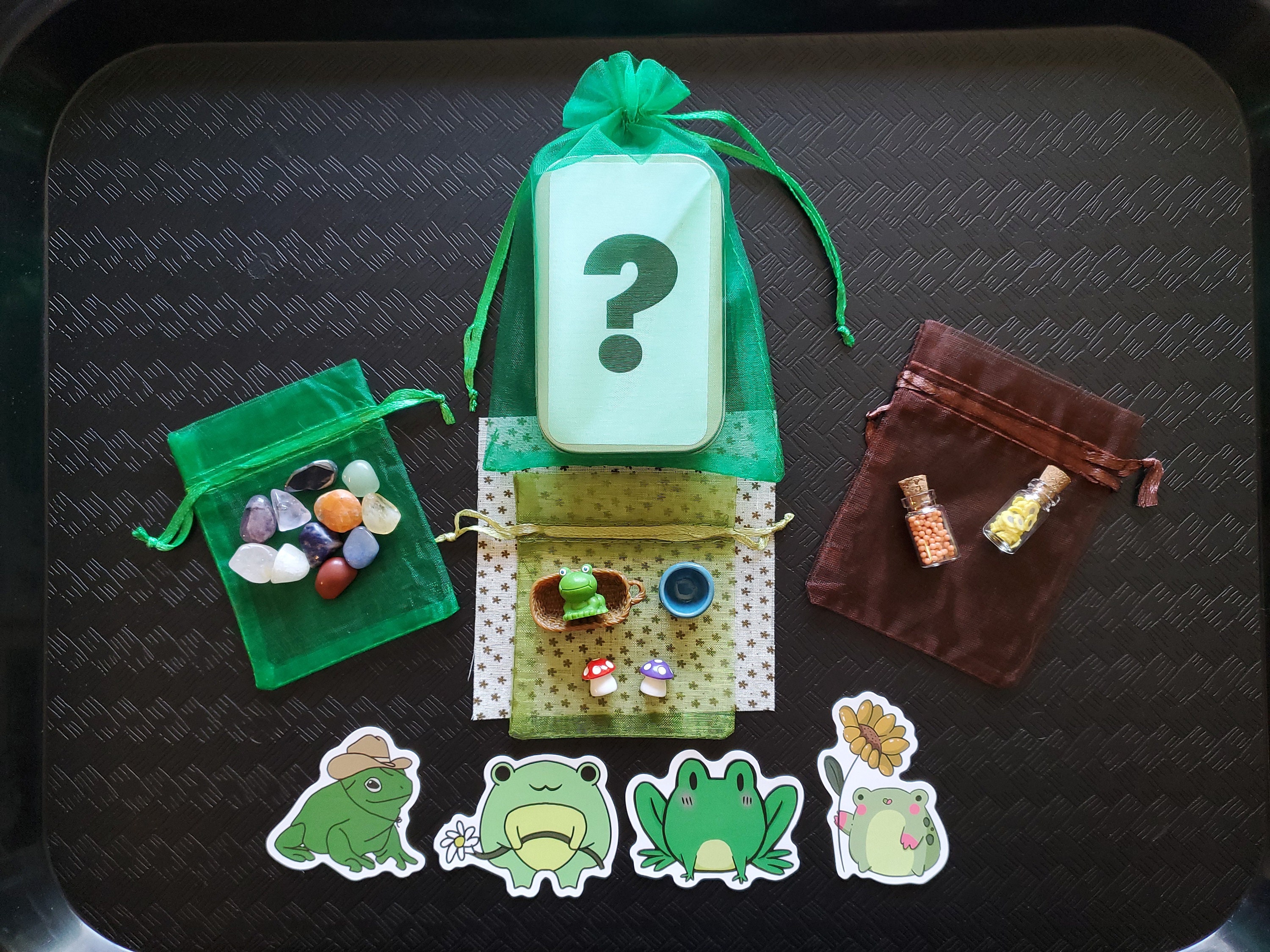 Adopt a Frog Mystery Box - Etsy