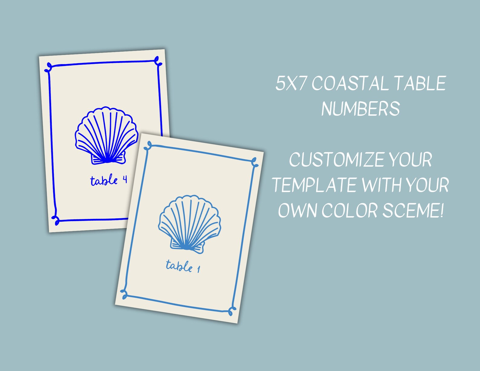 Handdrawn Seashell Table Numbers: Coastal Wedding Decor (printable) - Etsy