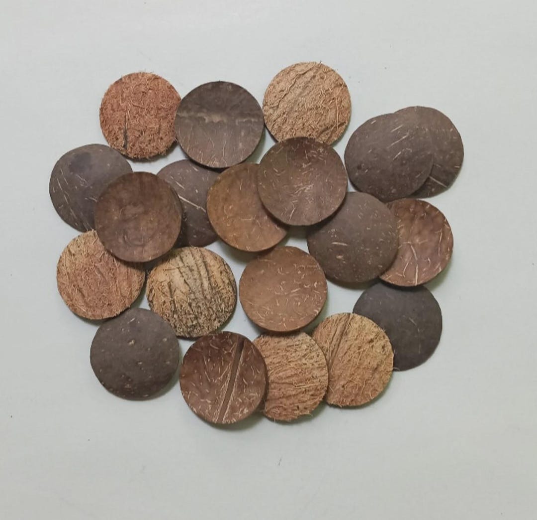 10 Pieces of 1.5" & 2" Coconut Shell Discs to Make Your Coconut Shell ...