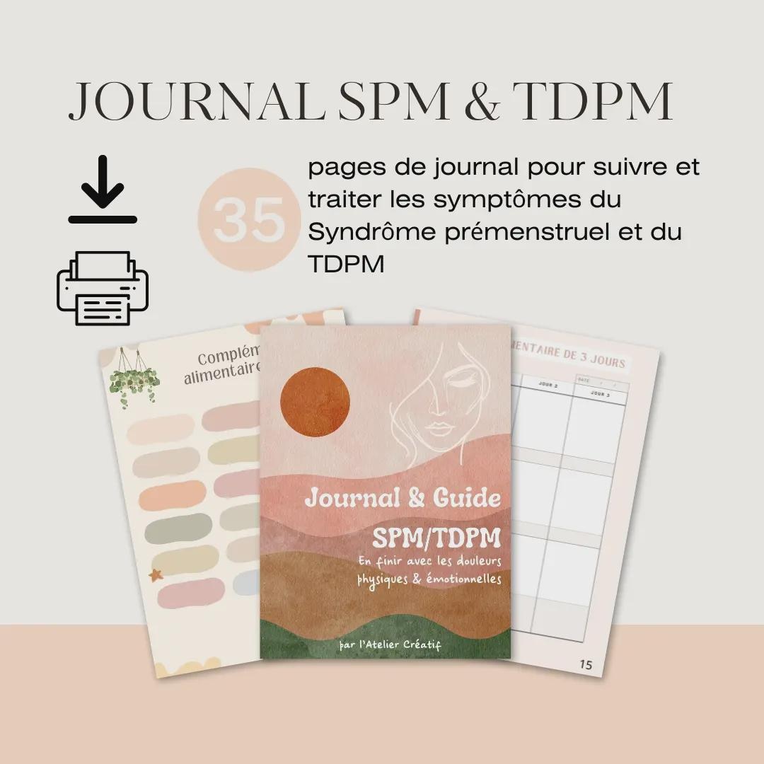 PMS and PMDD Notebook, Menstrual Cycle Tracking, Menstrual Diary and ...