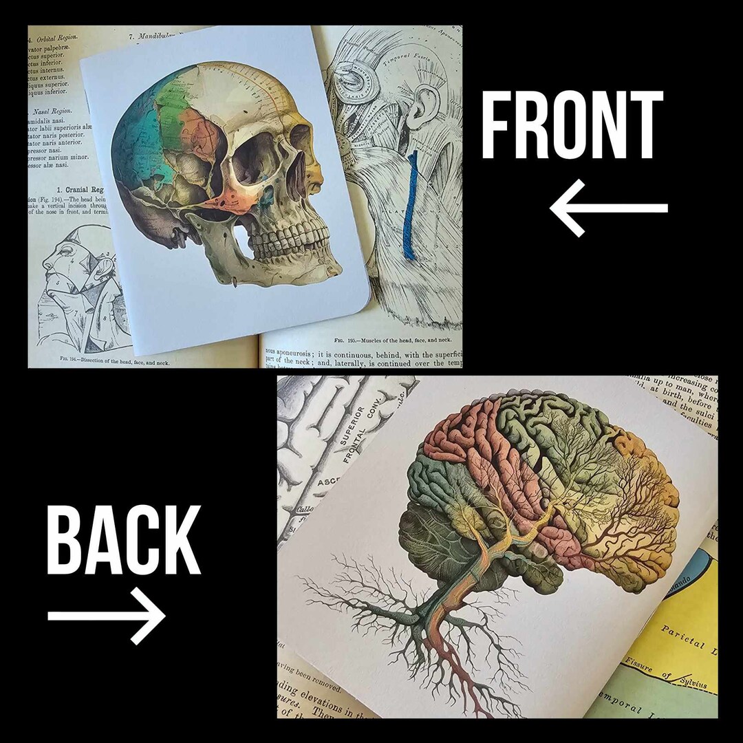Anatomy Pocket Notebooks - Etsy