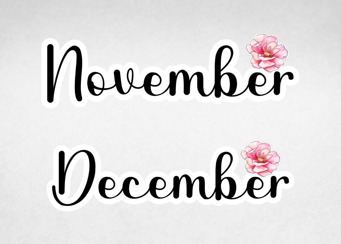 Months of the Year Planner Stickers, Cute Printable Planner Stickers ...