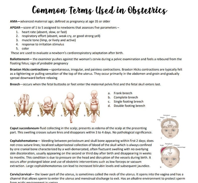 NURS OB & Maternity Study Guide Bundle! - Etsy