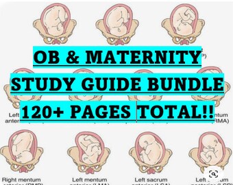 Ob Maternity Nursing Study Guide BUNDLE Labor and Delivery - Etsy