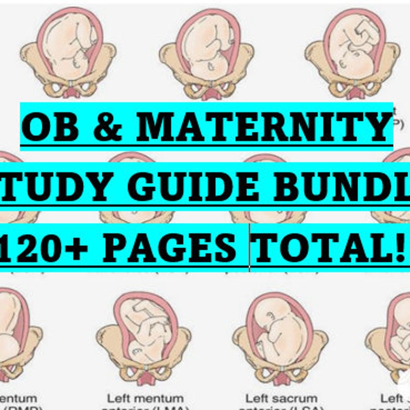 Maternity Study Guide - Etsy