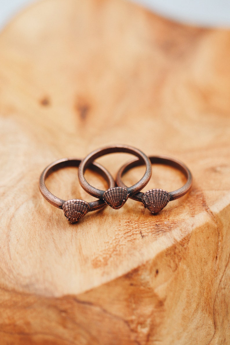 East Coast Shell Ring Florida Collection - Etsy